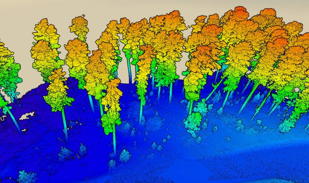 Forest LiDAR – What Are We Looking At | Interpine Innovation