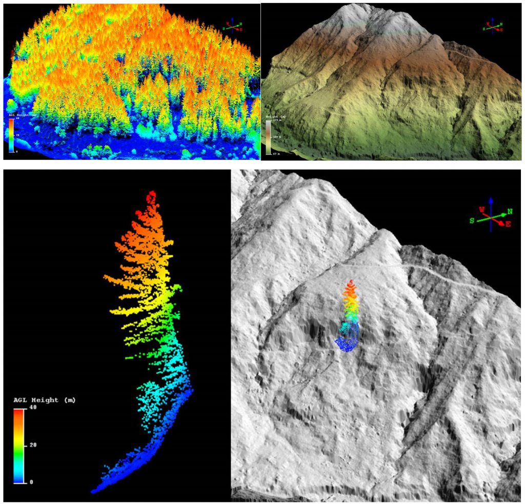 Forest Yields From Lidar Metrics Handling Big Data For Plot Yield Imputation Interpine Innovation