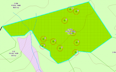 Forest Inventory Sampling Designs for Plot/Sample Locations | Interpine ...