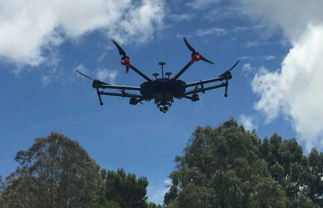 Drone – cover photo | Interpine Innovation