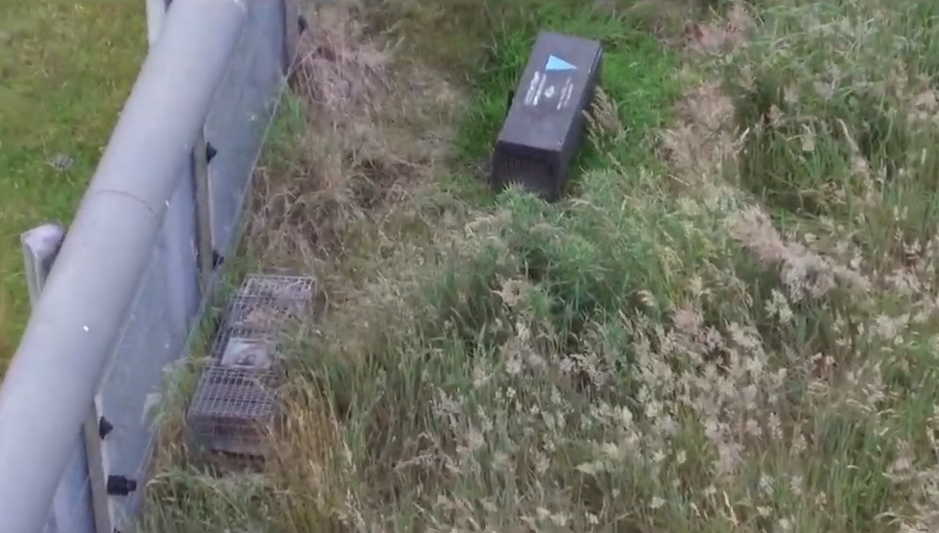 Monitoring Traps Using Drones to Aid Pest Free New Zealand | Interpine ... Monitoring Traps Using Drones to Aid Pest Free New Zealand | Interpine ...