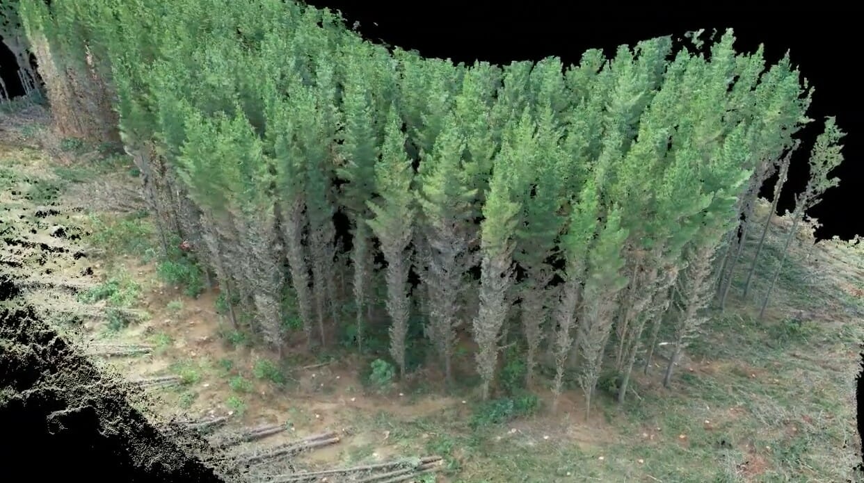 3D Modelling Forest for Harvesting Productivity Studies | Interpine ...