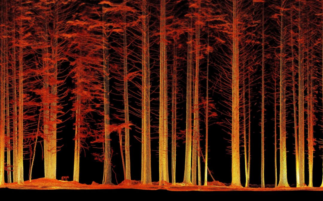 Under Forest Canopy 3D LiDAR Scanning Capabilities of Hovermap Mobile ...