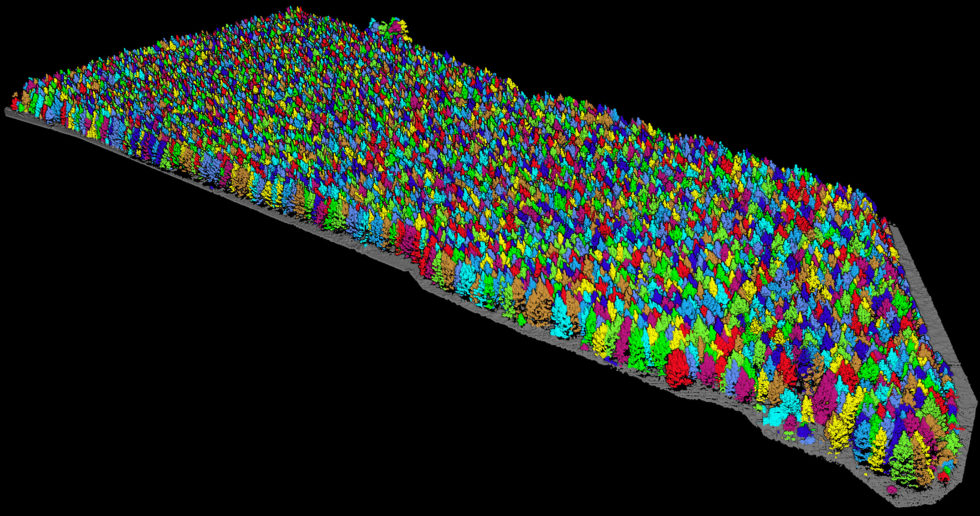 Benefits of Drone LiDAR vs Photogrammetry | Interpine Innovation