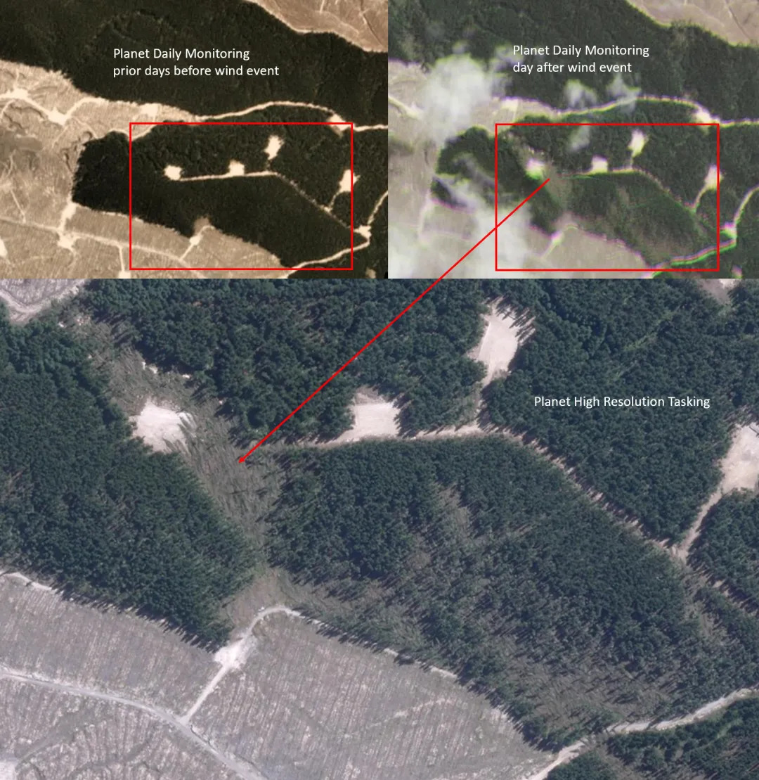 Post-Storm Assessment via Satellite Imagery | Interpine Innovation