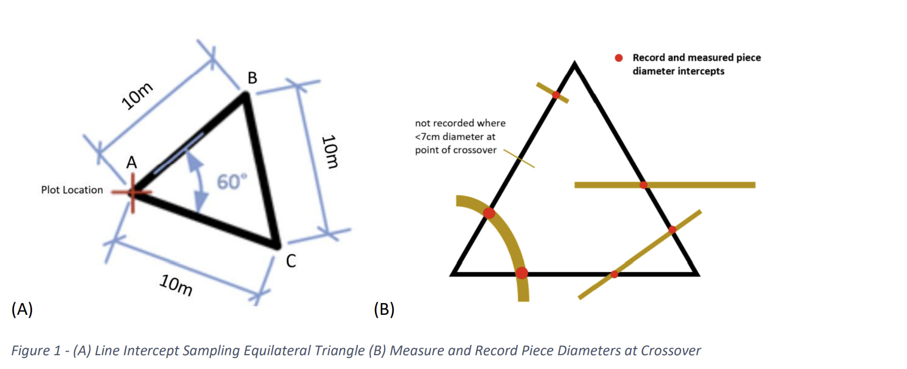Woody Debris and Slash Sampling Methodology Post Storm Events ...
