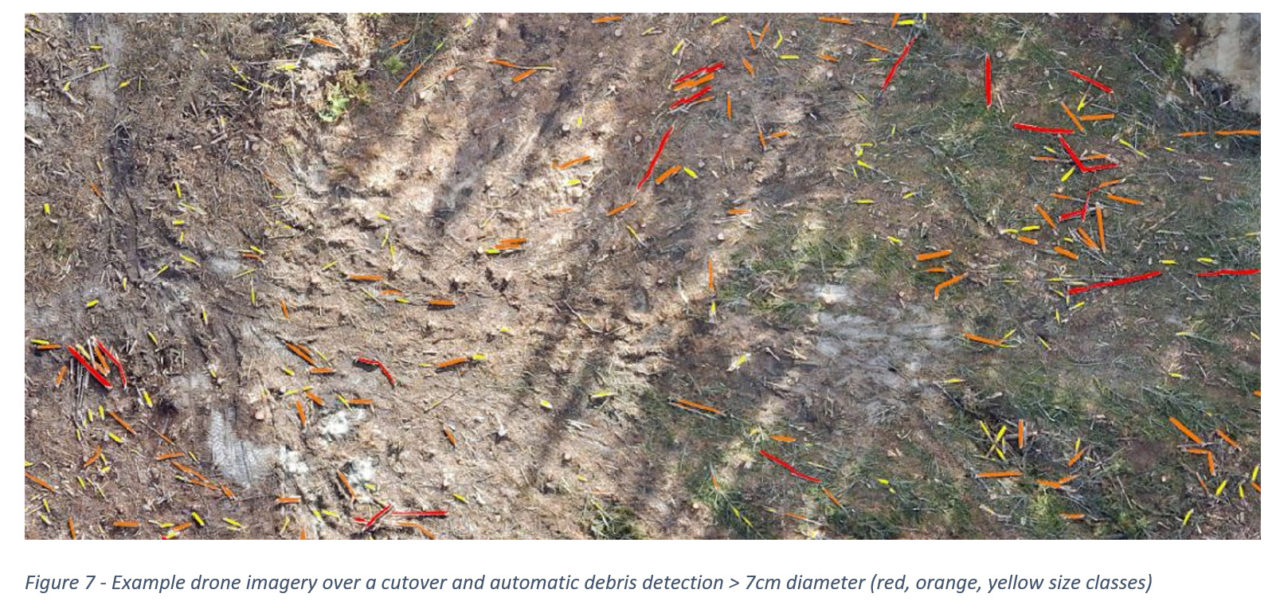 Woody Debris and Slash Sampling Methodology Post Storm Events ...