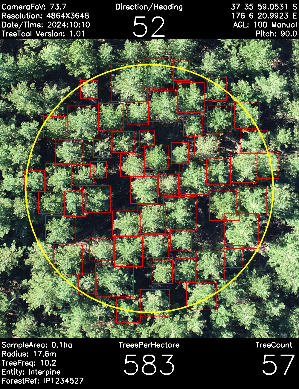 TreeTools Realtime Inventory Plot | Interpine Innovation