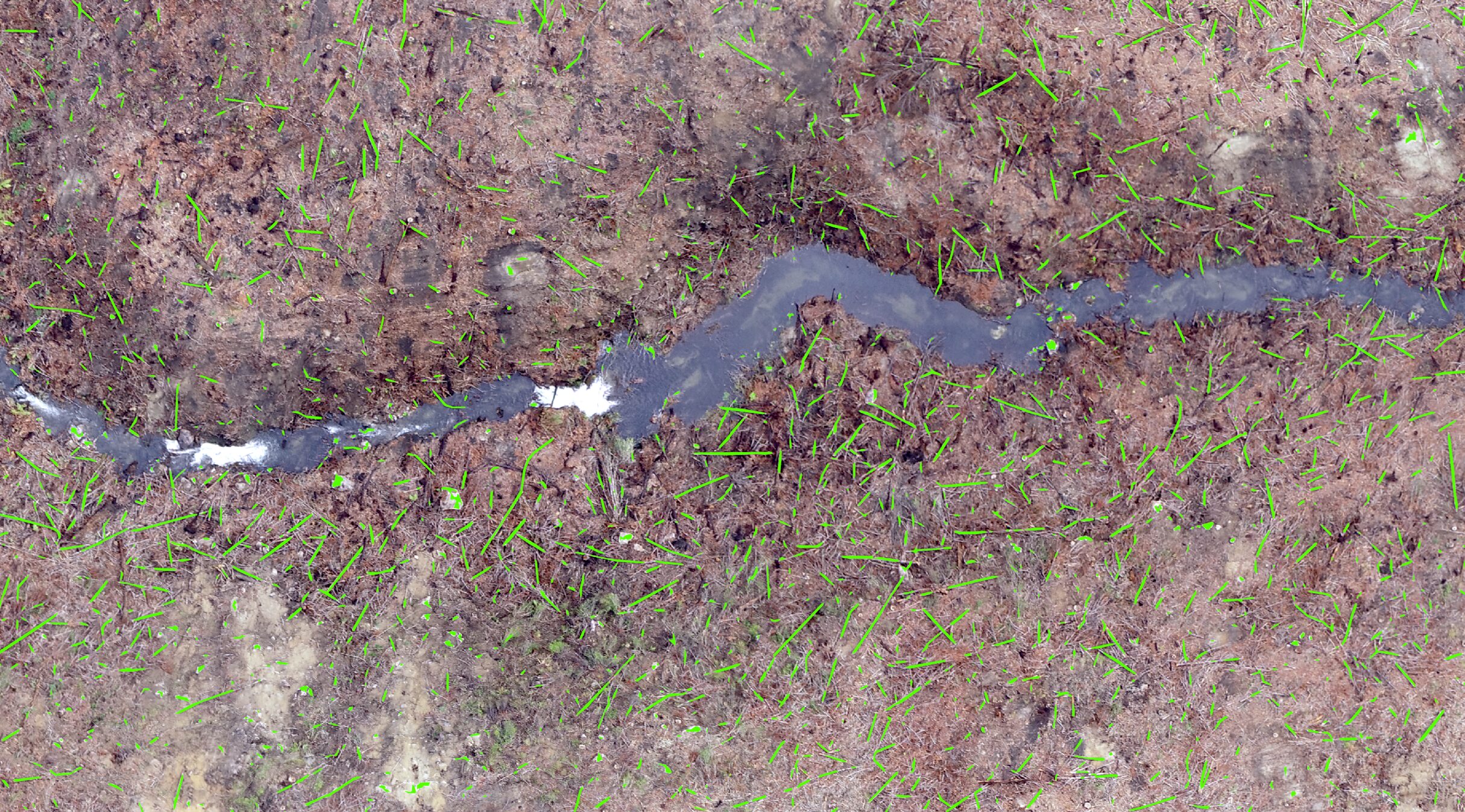 Cutover Assessment Waterway Management of Slash and Woody Debris ...